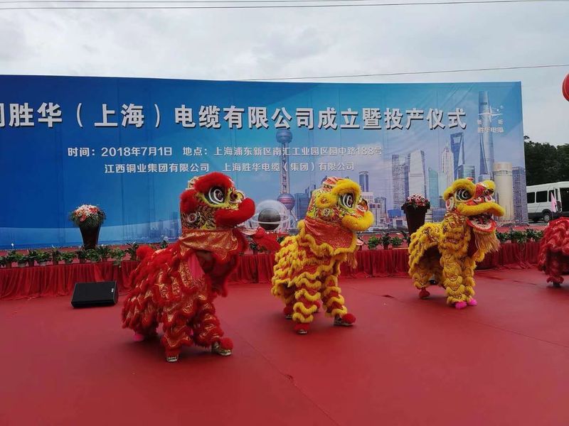 中国 Shanghai Shenghua Cable (Group) Co., Ltd. 会社概要